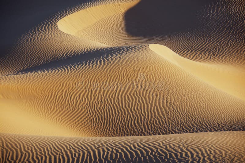 Desert sand close-up stock image. Image of desert, dune - 8073981