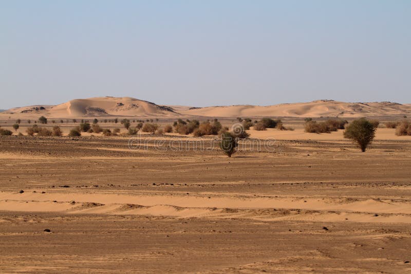 Sahara Desert in Sudan in Africa Stock Image - Image of sahara, drought ...