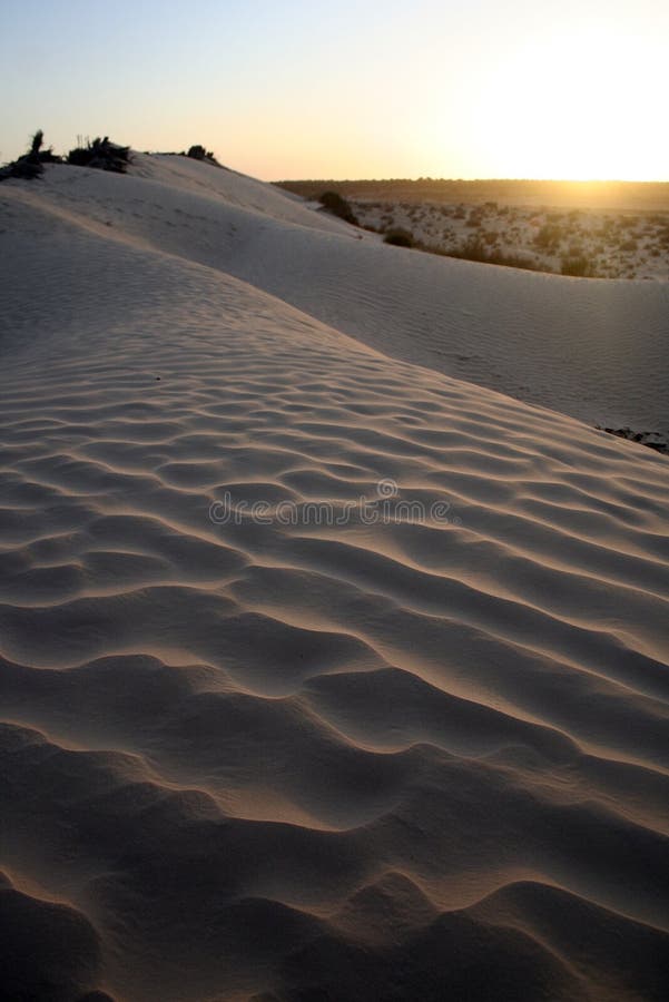 Sahara dune stock image. Image of sunrise, landscape - 13462869