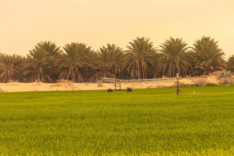 415 Algerian Countryside Stock Photos - Free & Royalty-Free Stock ...