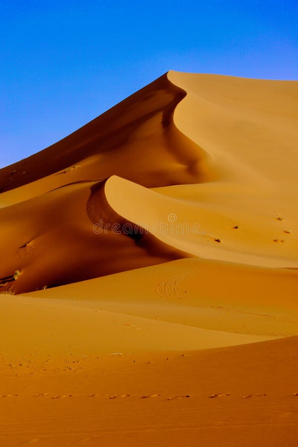 A Colorful Sand Dune of the Saharan Desert in Morocco, Africa. Stock ...