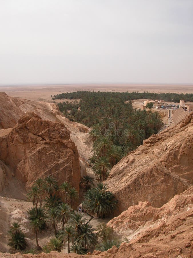 Sahara Oasis Panorama stock photo. Image of gabr, libyan - 28435452