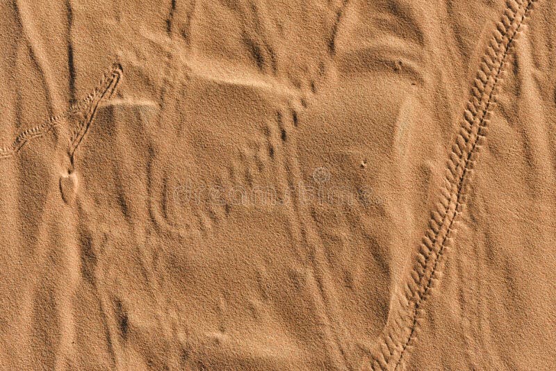 Sahara Desert at Sunrise, Morocco Stock Photo - Image of sunup, sandy ...
