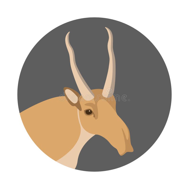 Saiga Head Vector Illustration Stock Vector - Illustration of horned ...