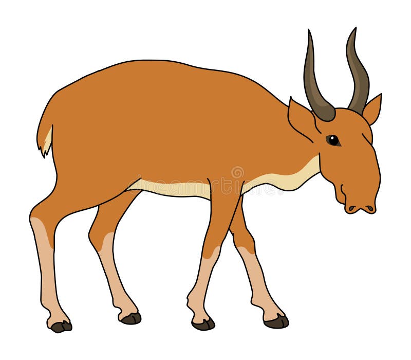 Funny Saiga Antelope stock vector. Illustration of cute - 94189615