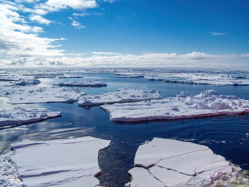 Sail through the Ice Floe Area Stock Photo - Image of white, antarctica ...