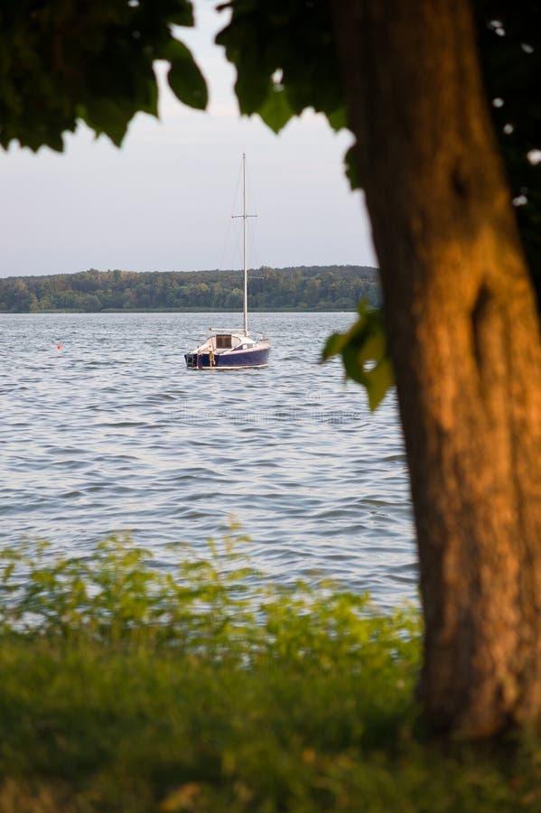 Sailboat on Calm Lake with Tree Foreground Stock Image - Image of ...