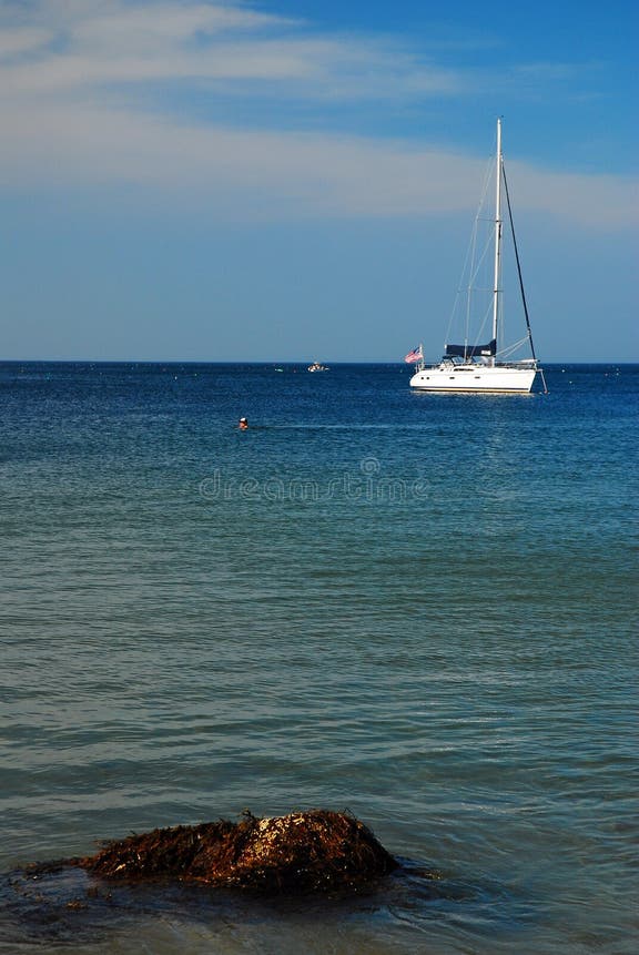 Ann Rohmer Pics Stock Photos - Free & Royalty-Free Stock Photos from ...