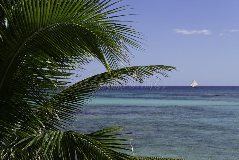 A Sailboat Passing by Tropical Beach Stock Image - Image of tourism ...