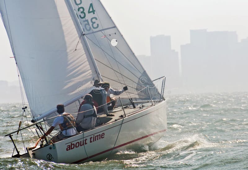 Sailboat racing on the bay editorial image. Image of championship ...