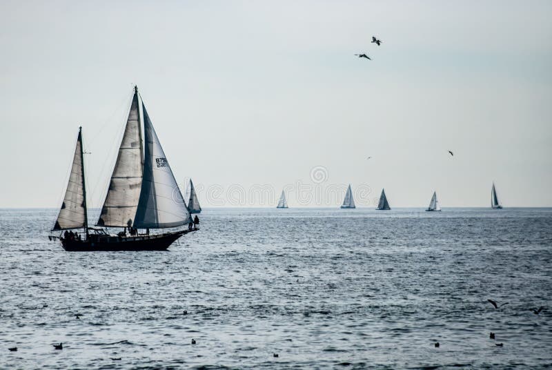 Sailboat Sailing on a Tranquil Body of Water. Stock Photo - Image of ...