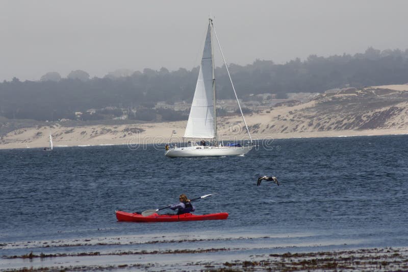 Sailboat Under Mainsail Comming into Bay with Overcast Sky Editorial ...