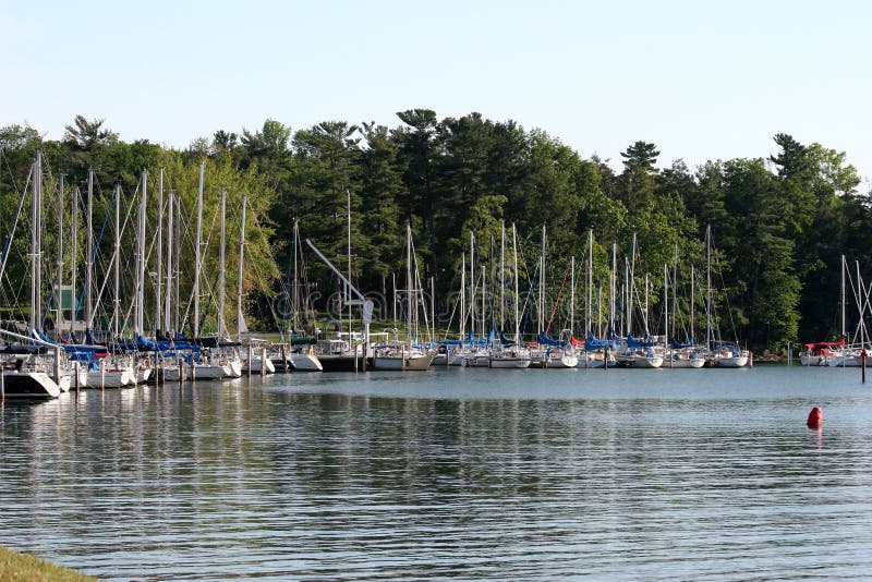 Sailboats In Harbor Picture. Image: 900924