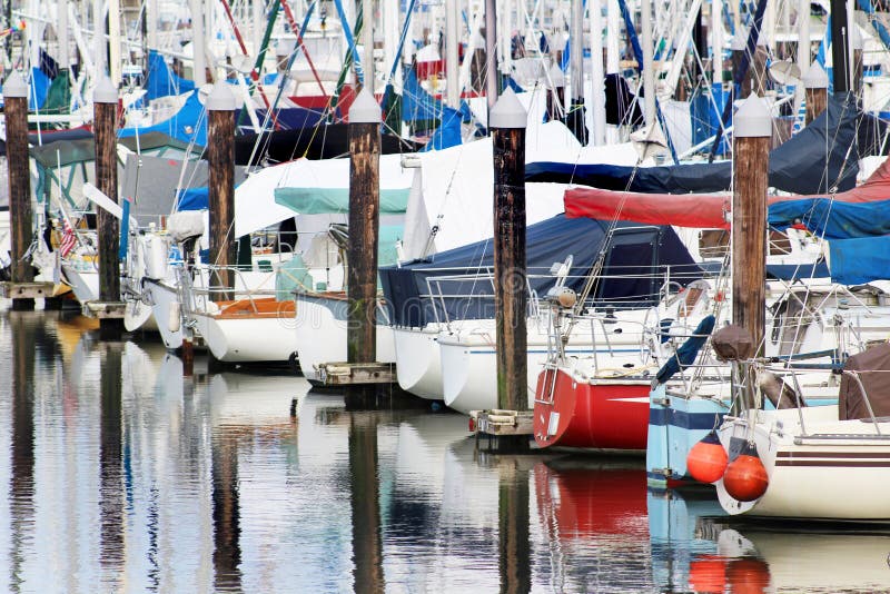 Sailboats in Moorage stock photo. Image of harbor, bumpers - 70417622