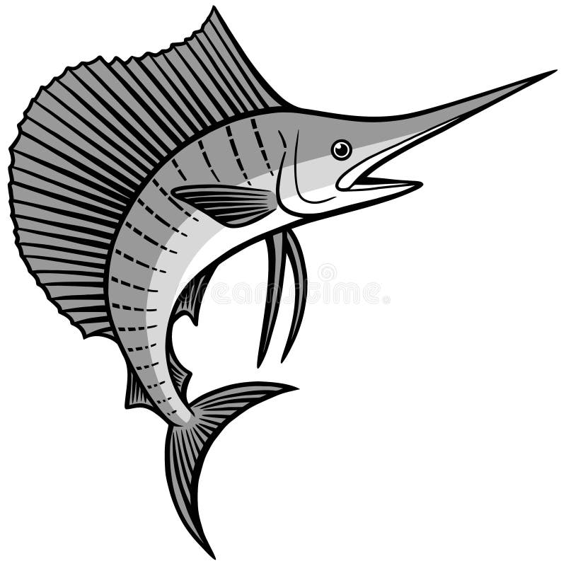 Sailfish Sketch