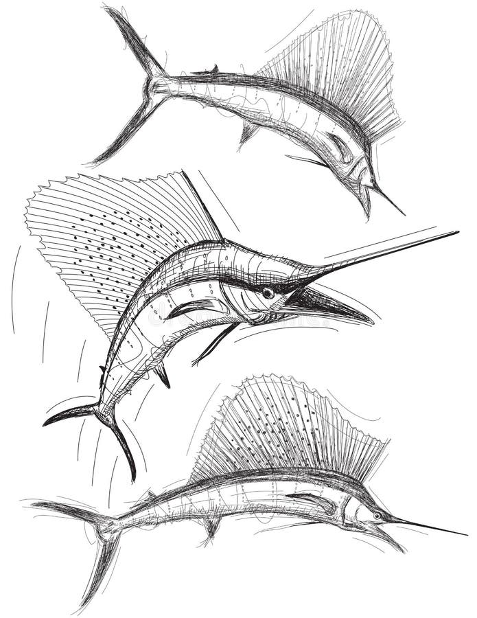 Sailfish Outline Sailfish Signed Art Print – Harden Studios