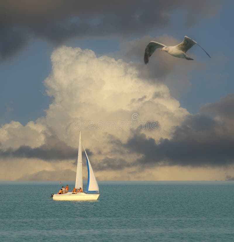 Sailing stock image. Image of lake, relaxation, seagull - 8741073