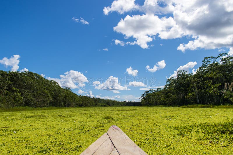 Sailing In The Amazon River Stock Photo - Image of forest, humid: 5343650