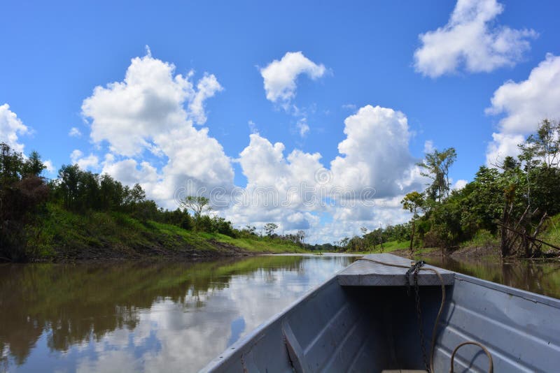 Sailing In The Amazon River Stock Photo - Image of forest, humid: 5343650