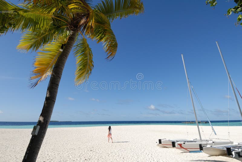 Sailing boat on the beach stock image. Image of maldives - 5857471