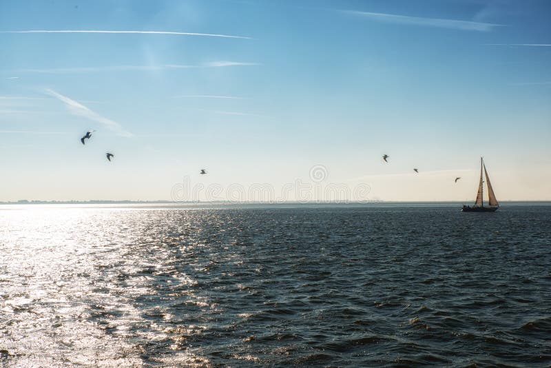 Sailing Boat at an Open Sea Stock Image - Image of sail, recreation ...