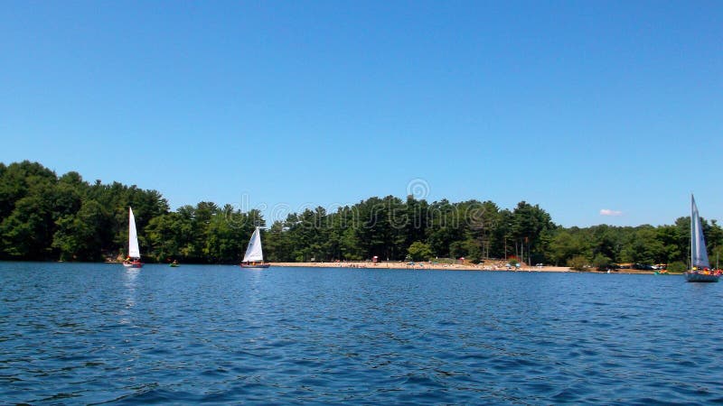 Sailing on the lake stock photo. Image of greenery, sailboats - 91343360