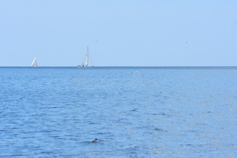 Sailing and power boat editorial stock image. Image of motor - 42790639