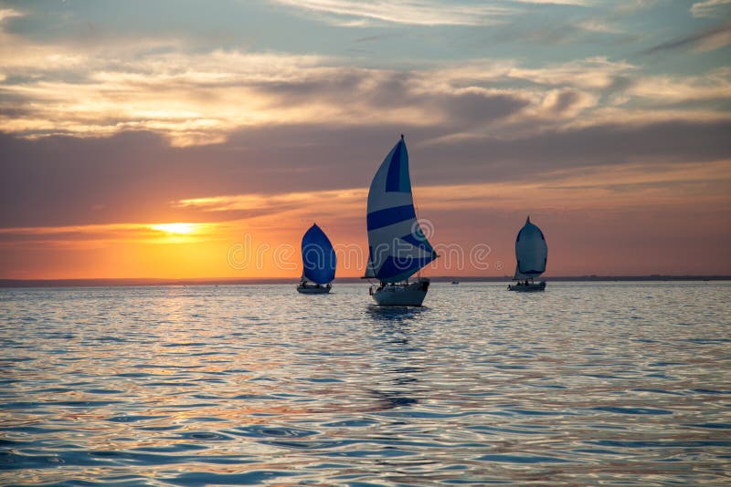 Sailing reggata stock photo. Image of hobby, reggata - 86009000