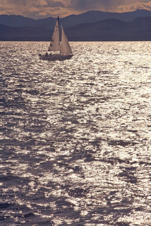 Sailing stock photo. Image of waterfront, sunny, sailboat - 299472158