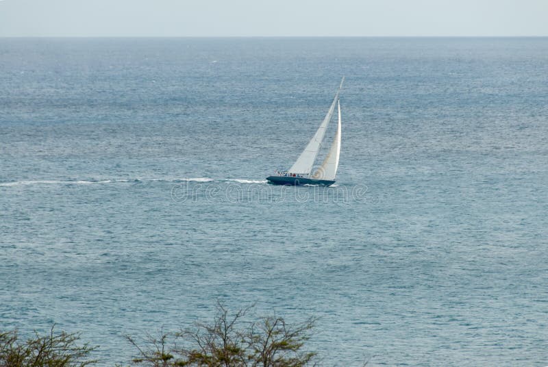 Sailing Sloop in the Caribbean VI Stock Image - Image of speed ...