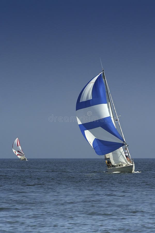 Sailing. the Winner and Losed Stock Image - Image of cruise, regatta ...
