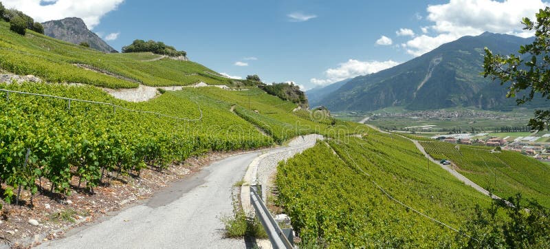 Saillon Vineyards Rhone Valley Wallis Stock Image - Image of panorama ...