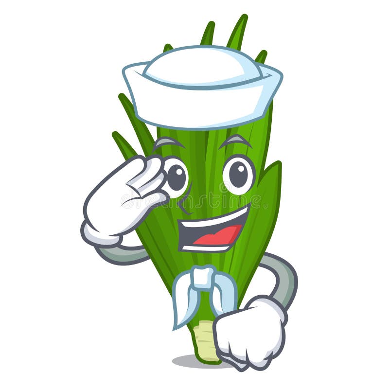 Pandanus Drink Stock Illustrations – 50 Pandanus Drink Stock ...