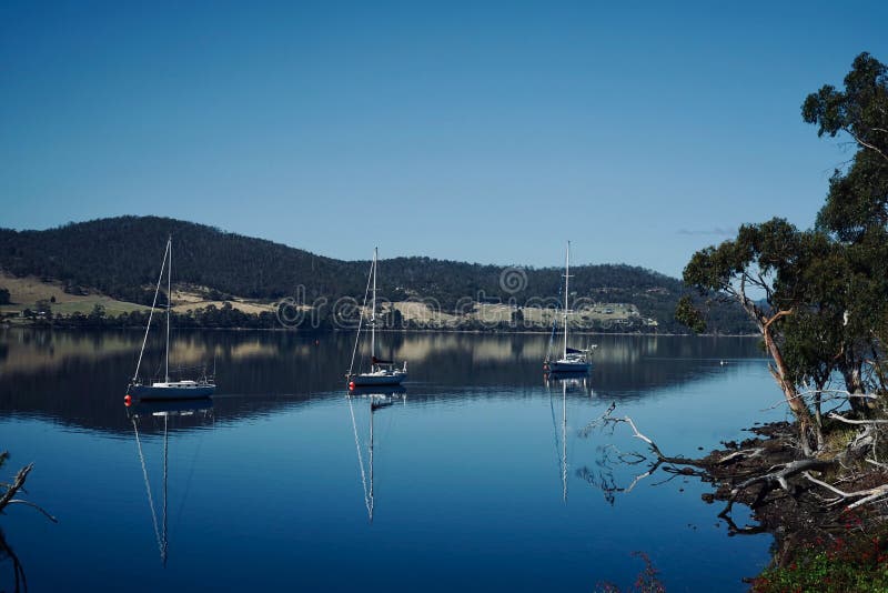 3 sails Tasmania stock image. Image of trip, tasmania - 148383949