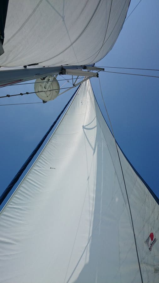 Sails up! editorial photo. Image of beautiful, sailing - 43764391