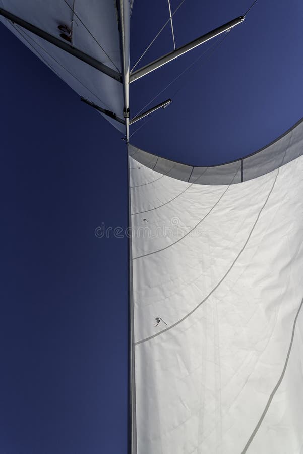 Sails in the wind stock image. Image of pleasure, ship - 294908981