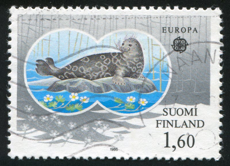 Saimaa Ringed Seal editorial stock photo. Image of antique - 236586778