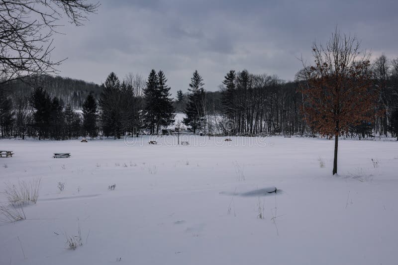 Saint-Bruno National Park, Canada Quebec Stock Image - Image of random ...