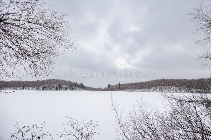 Saint-Bruno National Park, Canada Quebec Stock Photo - Image of tree ...