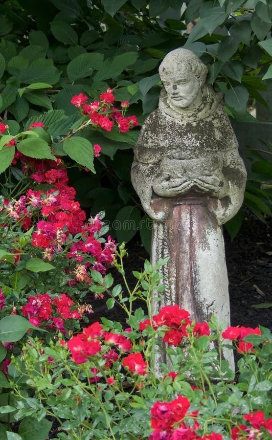 Saint Francis Statue among Roses Stock Photo - Image of spiritual ...