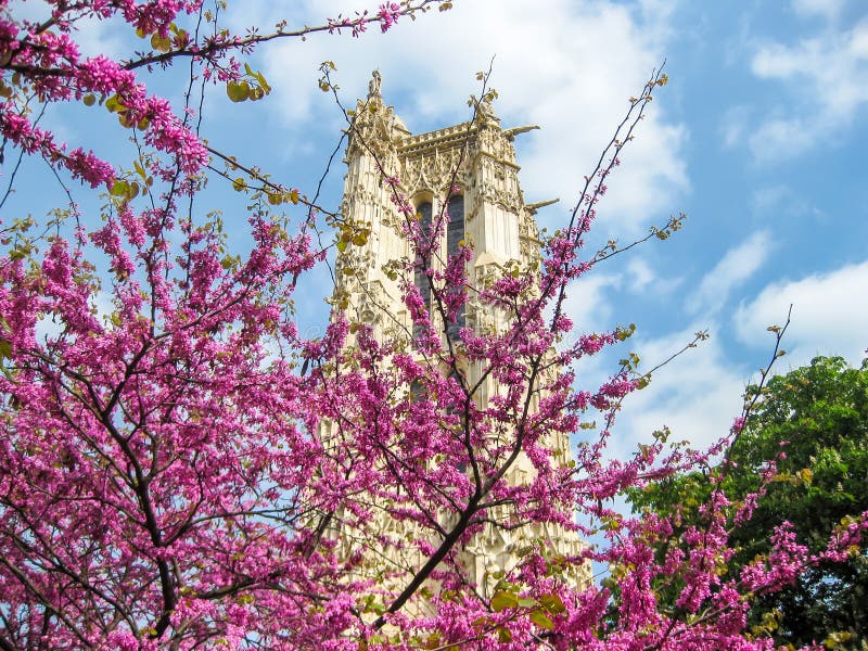 Saint-Jacques Tower in Spring, Paris, France Stock Image - Image of ...