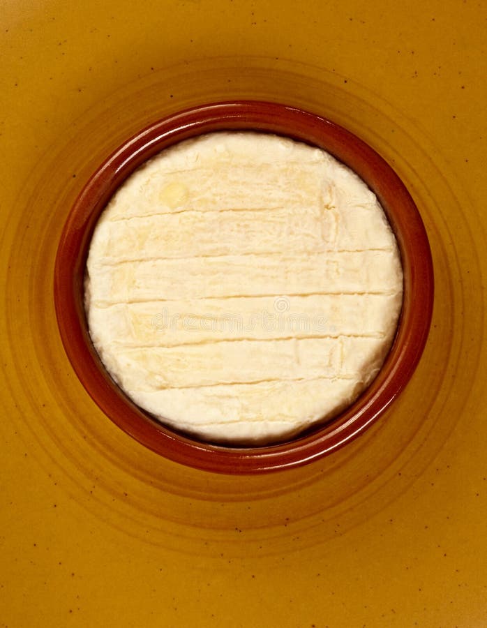 Saint Marcellin cheese stock photo. Image of pasteurised - 39991170
