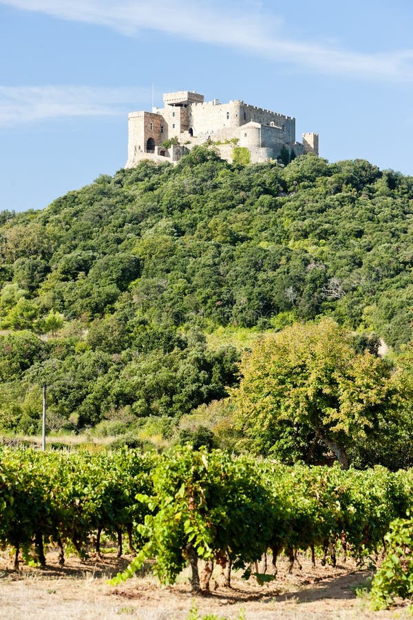 Saint-Martin Castle stock photo. Image of outdoors, flora - 22789078