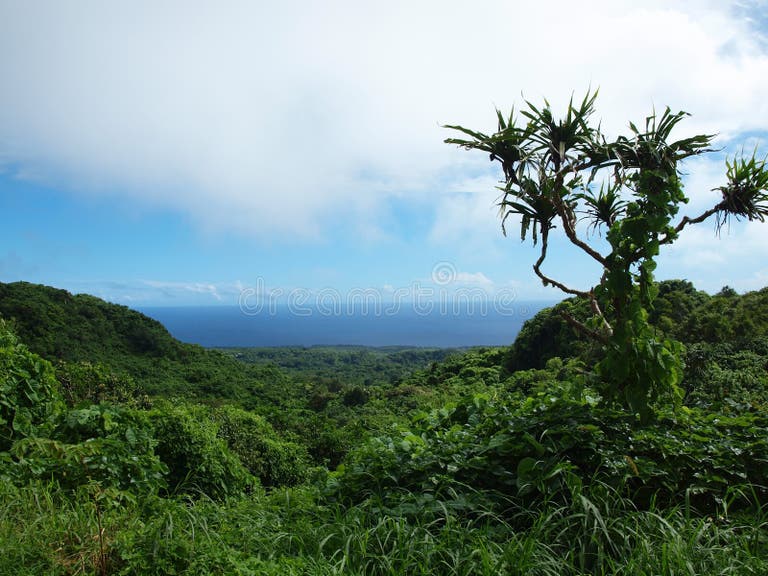 919 Wherenis Saipan Stock Photos - Free & Royalty-Free Stock Photos ...