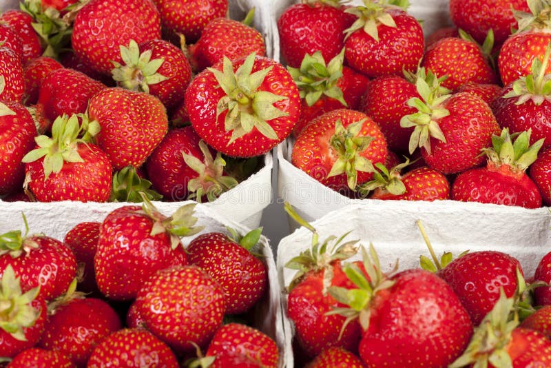 Saison de fraise image stock. Image du saison, fraise - 31199527