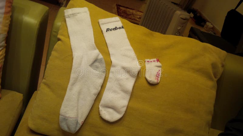 Saiz editorial stock image. Image of small, saiz - 43074349