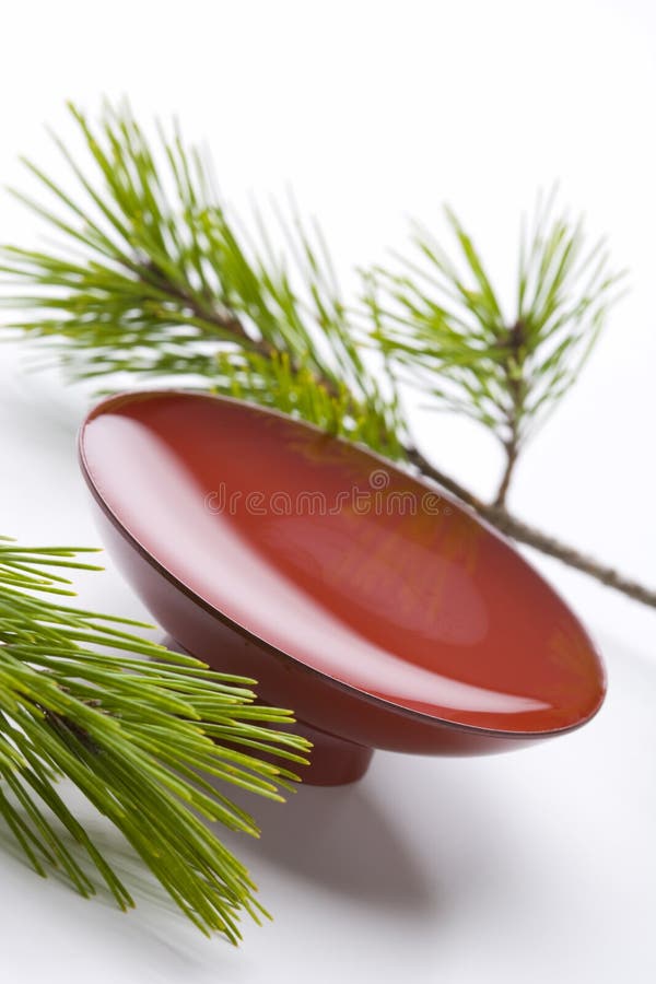 Sake stock photo. Image of asia, pine, winter, sake, celebrate - 10129262