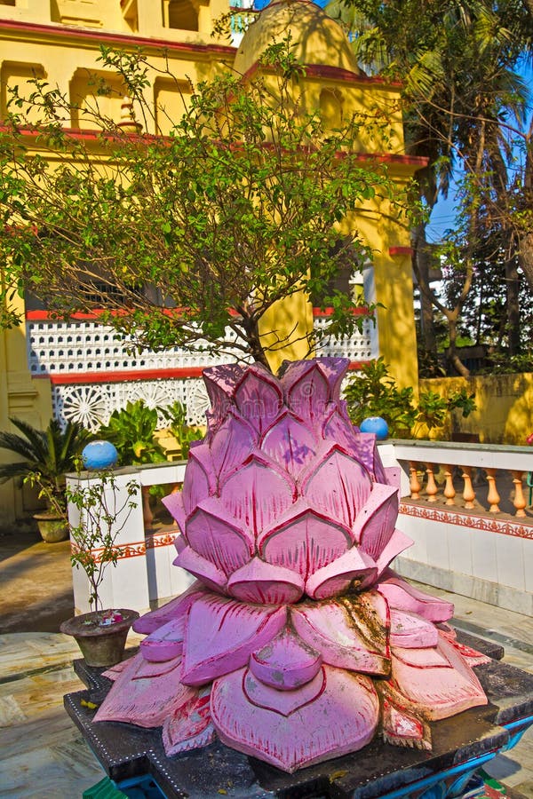 Bevara Det Heliga Tulasiträdet Indisk Kultur Och Religion Arkivfoto ...