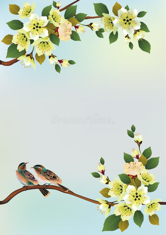 Sakura bird. postcard stock vector. Illustration of painted - 27616306