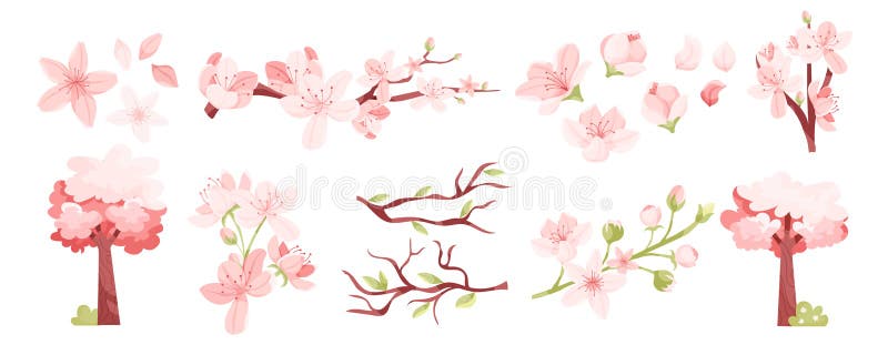 Sakura Blossom Elements Set Stock Illustration - Illustration of symbol ...